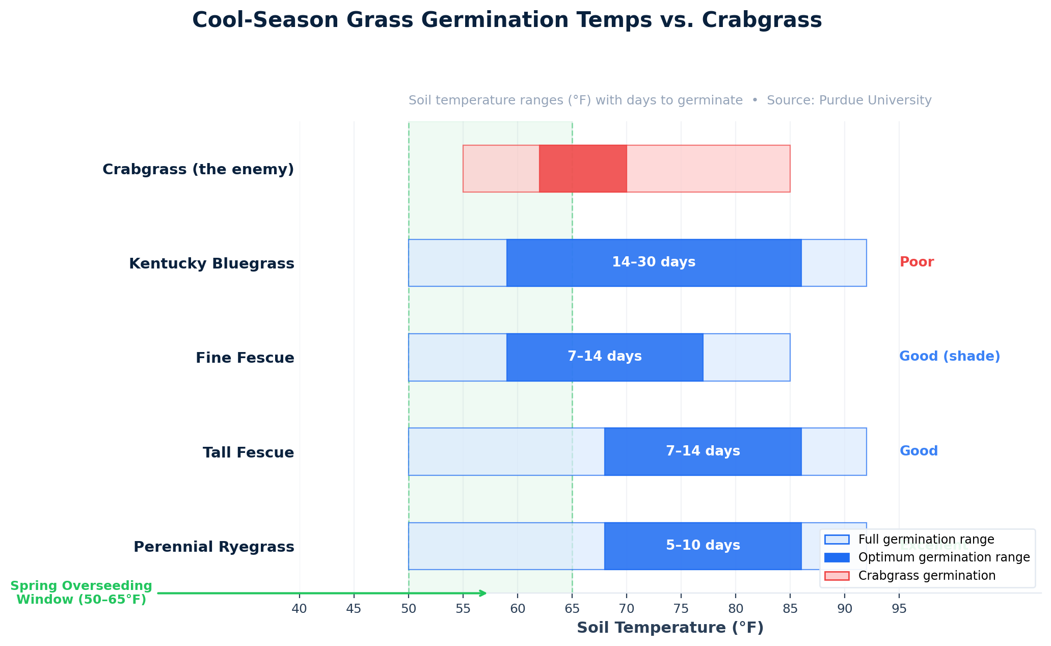 When to Overseed Cool-Season Grass in Spring | Soil Temps